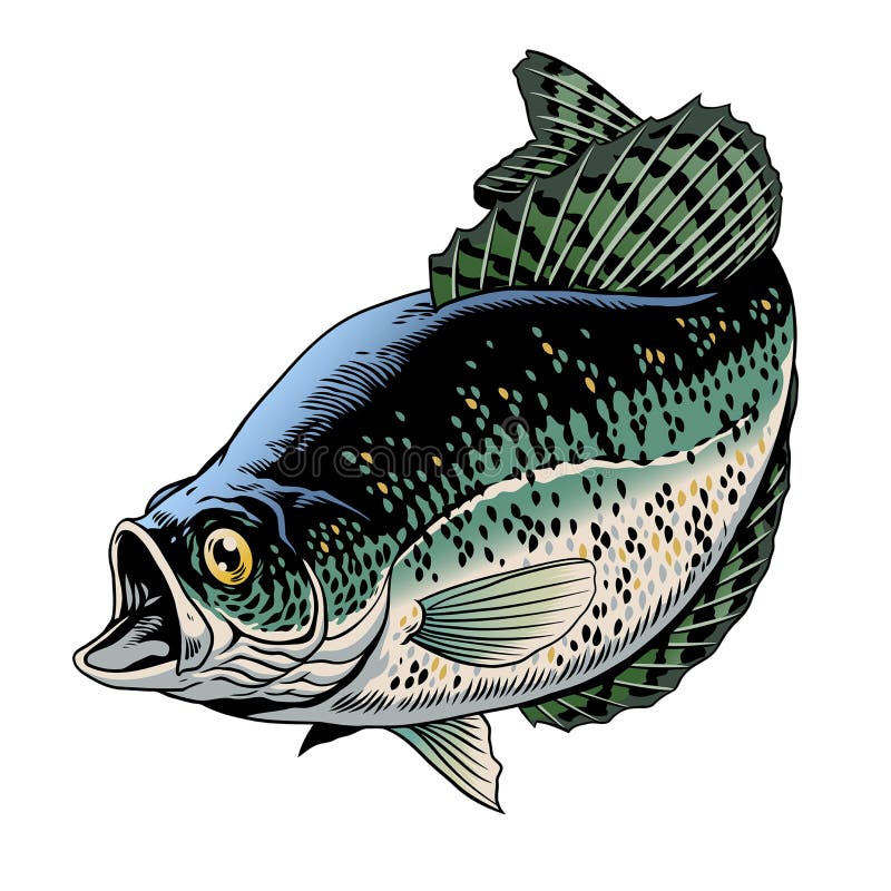 Illustration Vintage De Couleur De Poisson Merle Illustration de ...