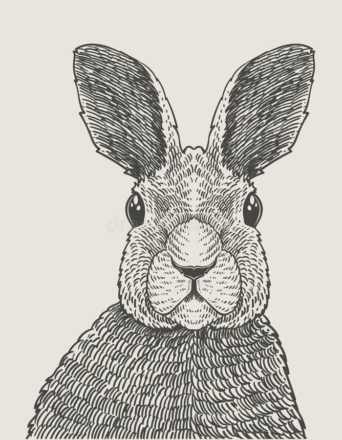 Vintage Rabbit Toy Sketch. Hand Drawn Vector Illustration Stock Vector ...