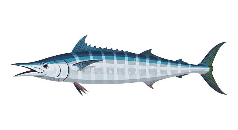 Illustration of a Wahoo Fish Stock Illustration - Illustration of boat ...