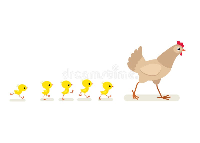 Walking Red Hen and Chicks Animation Sprite Sheet Isolated on White ...