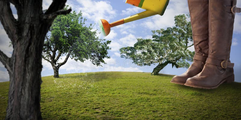 Illustration, Watering Can, Reforestation, Feed and Take Care of the ...