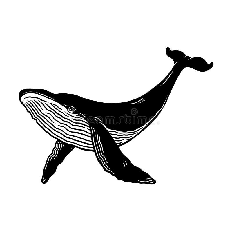 Illustration of Whale. Design Element for Poster, Card, Banner, Emblem ...