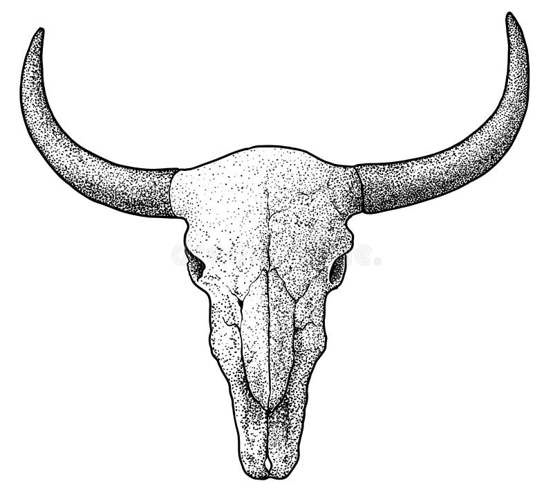 Bull Skull Illustration, Drawing, Engraving, Ink, Line Art, Vector ... Bull Skull Illustration, Drawing, Engraving, Ink, Line Art, Vector ...