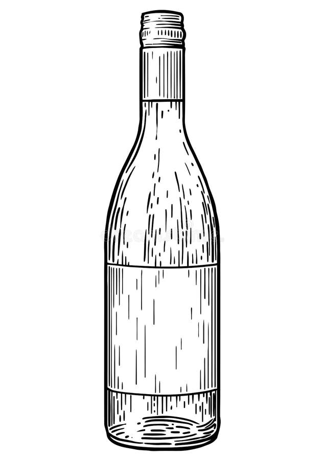 Wine Bottle Illustration Drawing Engraving Ink Line Art Vector Stock Vector Illustration
