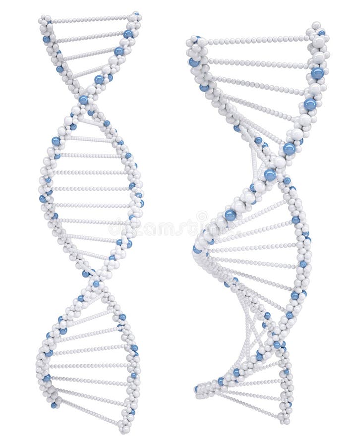 White Dna Stock Illustrations – 31,965 White Dna Stock Illustrations ...