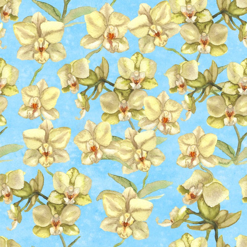 Illustration of White Orchid Stock Illustration - Illustration of ...