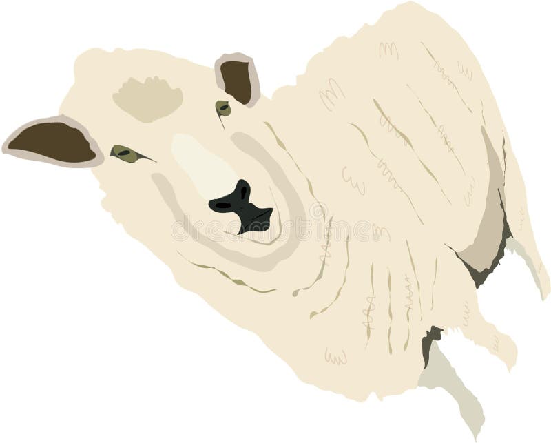 Baaa Baaa Stock Illustrations – 15 Baaa Baaa Stock Illustrations ...
