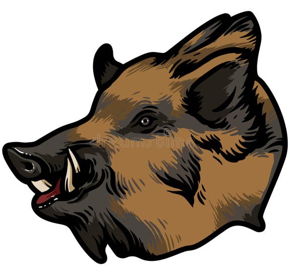Wild Boar Face Illustration. Wild. Face. Vector Stock Vector ...