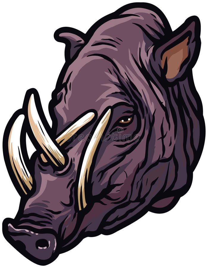 Wild Boar Face Illustration. Wild. Face. Vector Stock Vector ...