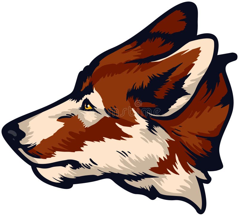 Wolf Face Illustration. Wild. Face. Vector Stock Vector - Illustration ...