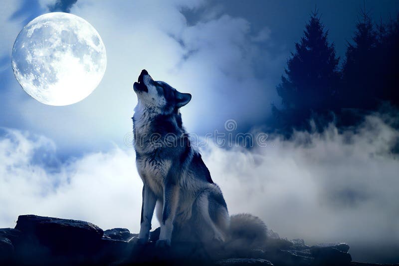 Wolf Howling in the Fog and Full Moon, High Quality, High Resolution ...