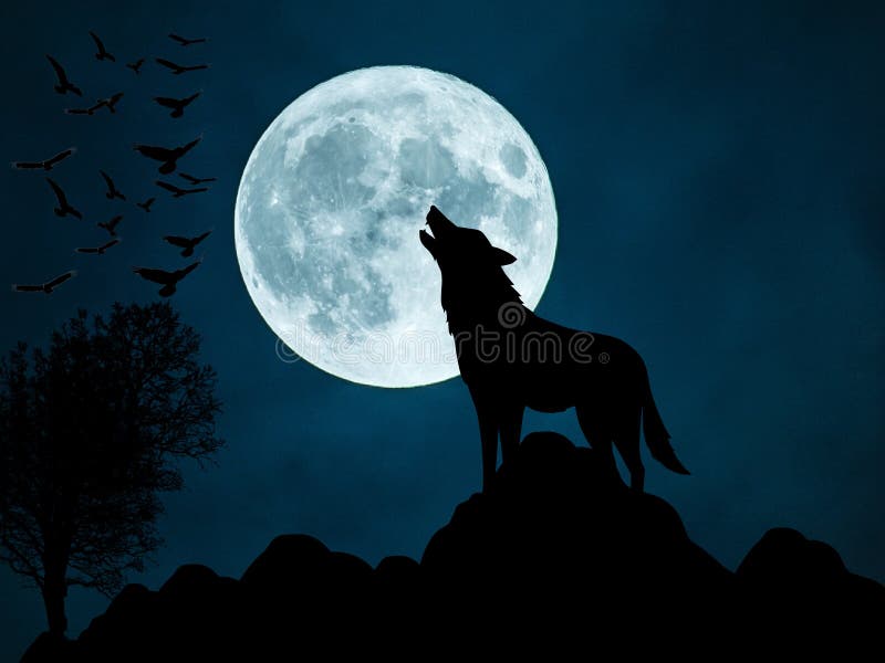 Illustration of Wolf at Night Stock Illustration - Illustration of ...