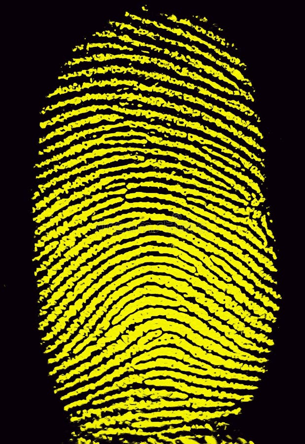 Yellow Fingerprint with Check Mark Icon Isolated on Orange Background ...