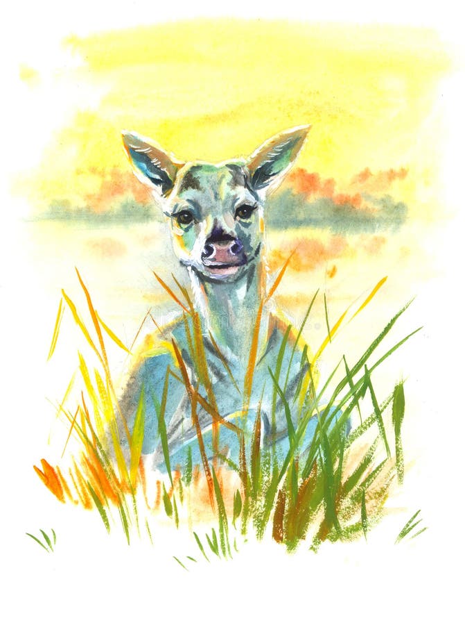 Deer in grass watercolor stock illustration. Illustration of animal ...