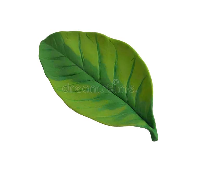 Minimalist Drawing of a Zigzag Plant Leaf, Capturing Its Peculiar Shape ...