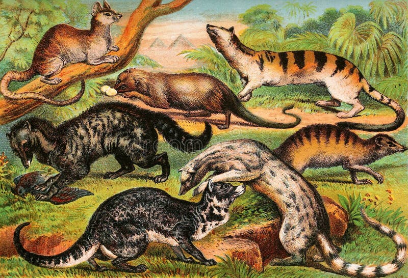 Zenick Stock Illustrations – 1 Zenick Stock Illustrations, Vectors ...