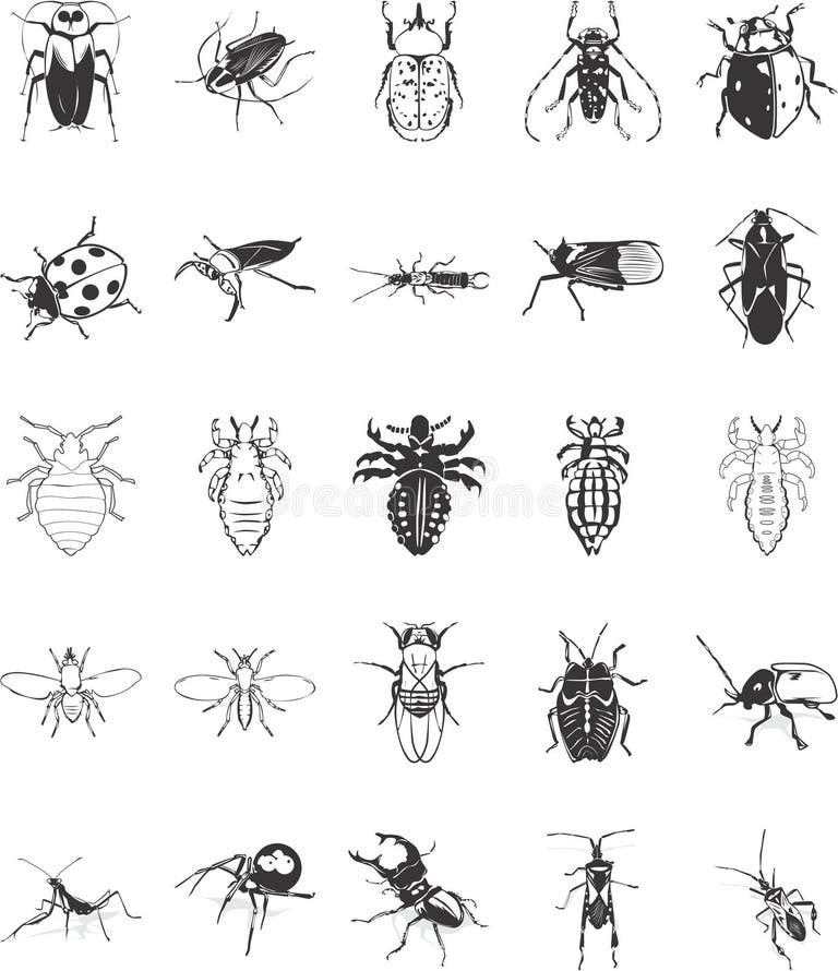 Drawing Bugs Stock Illustrations – 5,915 Drawing Bugs Stock ...