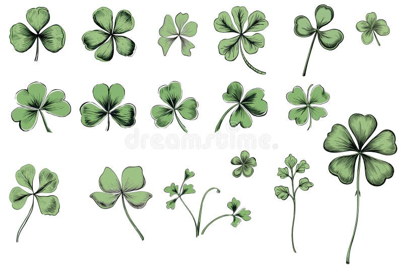 Illustrations of Clovers with Different Shapes and Sizes Stock Photo ...