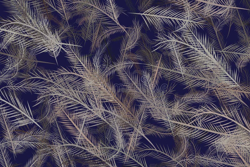 Illustrations of Feather. Backdrop, Art, Hand-drawn & Decoration. Stock ...