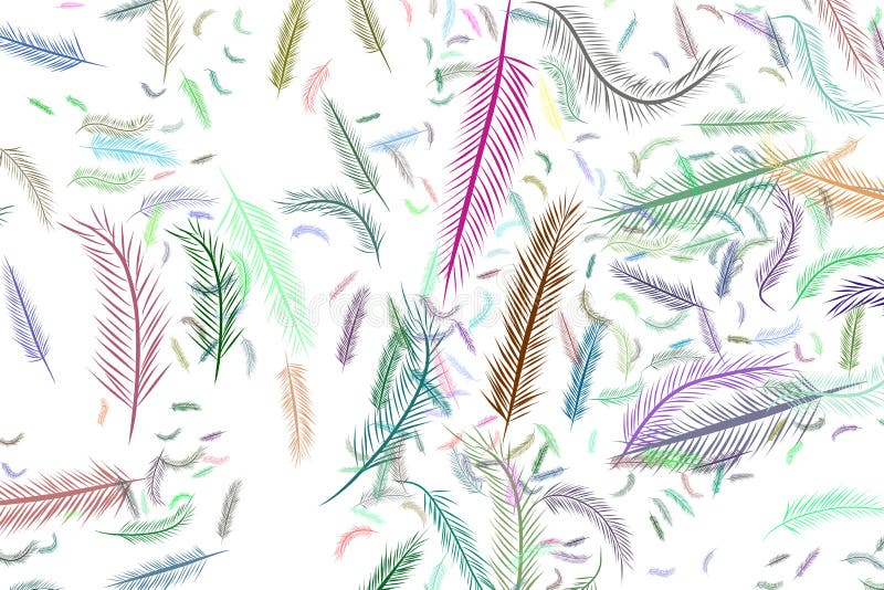 Illustrations of Feather. Concept, Details, Style & Digital. Stock ...