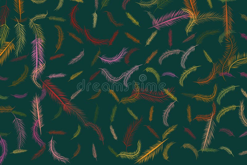 Illustrations of Feather. Design, Backdrop, Creative & Details. Stock ...