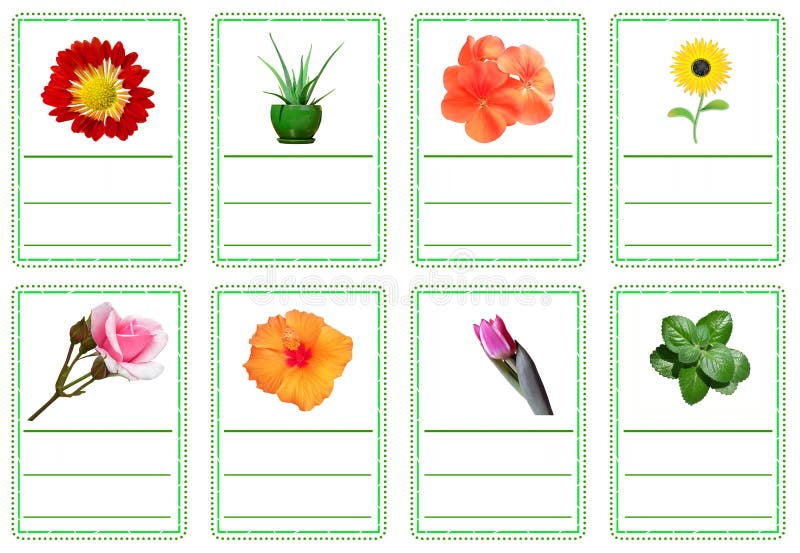 Set of Label with Mix of Flowers. Stock Photo - Illustration of ...
