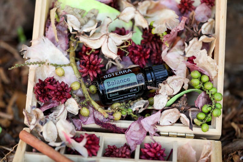 Doterra Essential Oils in Natural Setting Editorial Photography - Image ...