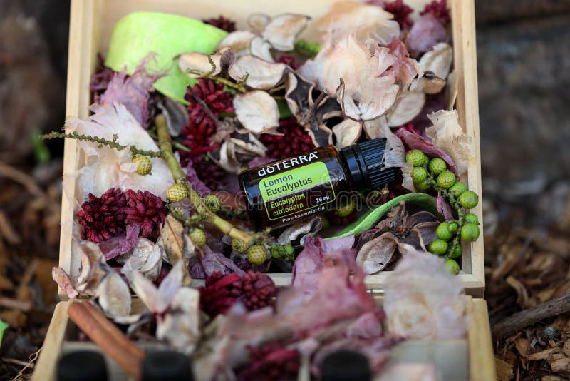 Doterra Essential Oils in Natural Setting Editorial Image - Image of ...