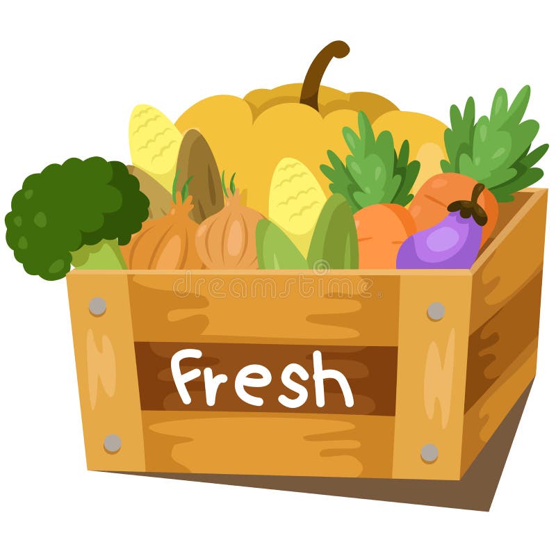 Illustrator of Fresh Vegetable Stock Vector - Illustration of ...