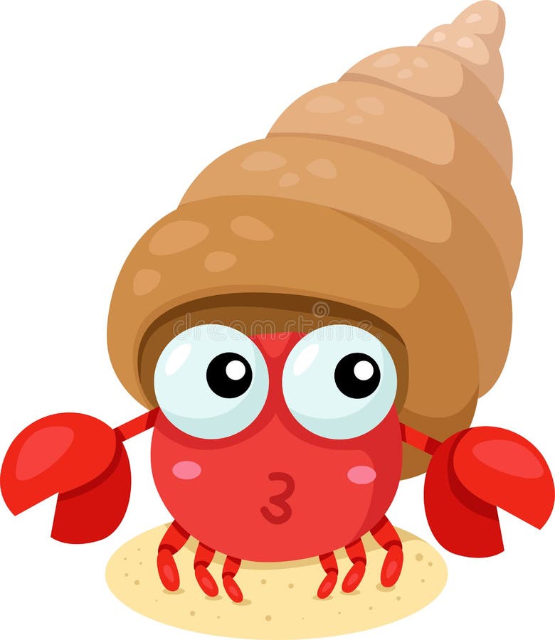 Hermit crab stock vector. Illustration of sunlight, hermit - 3357871
