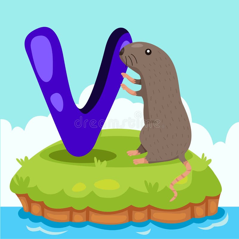 Illustrator of Letter V is for Vole Stock Vector - Illustration of ...
