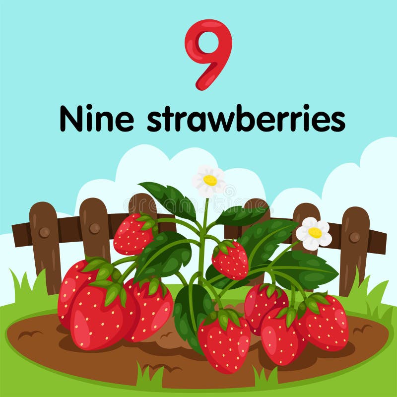 Number 9 Nine, Educational Card,learning Counting with Fingers Stock ... Number 9 Nine, Educational Card,learning Counting with Fingers Stock ...