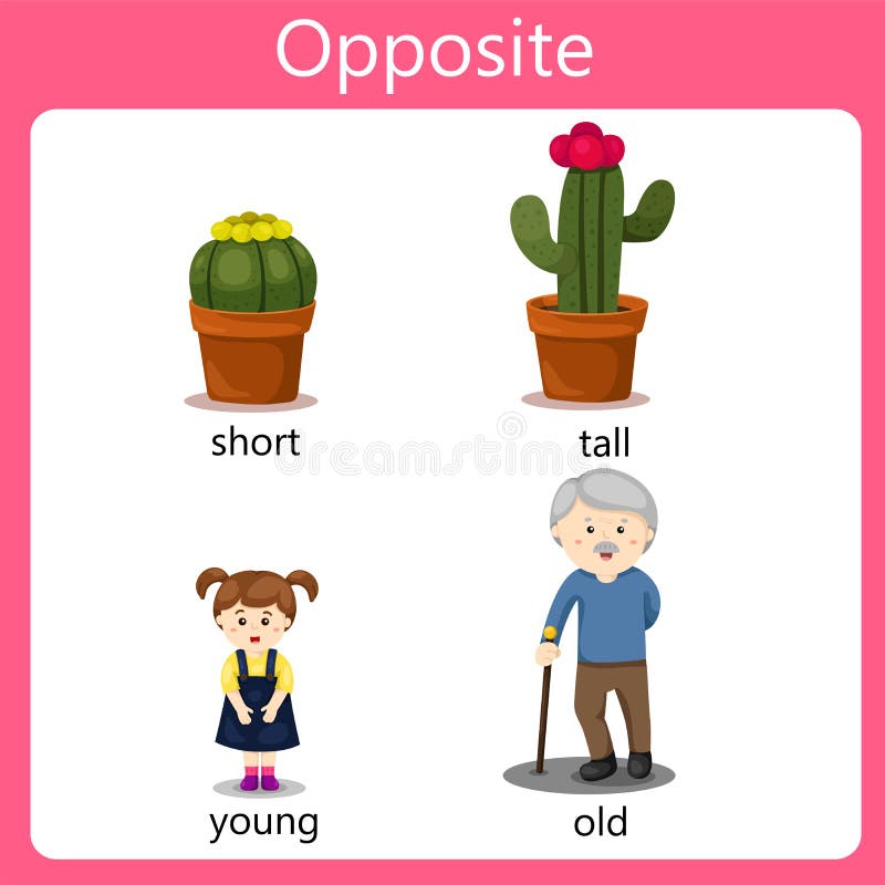 Short Long Opposite Cards