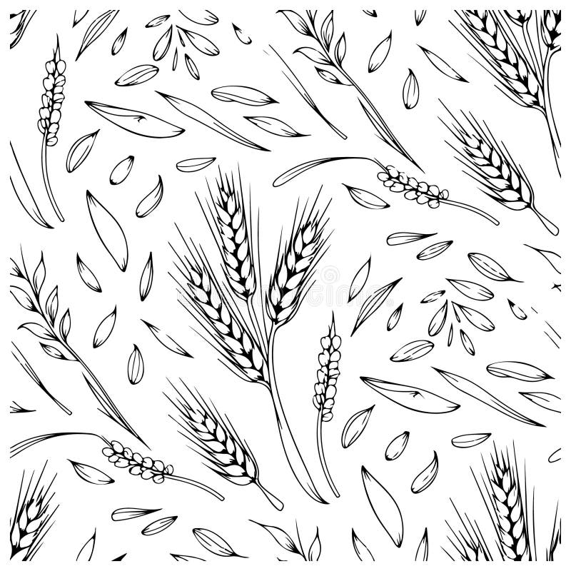 A Illustrator of a Seamless Pattern of Seeds Stock Illustration ...