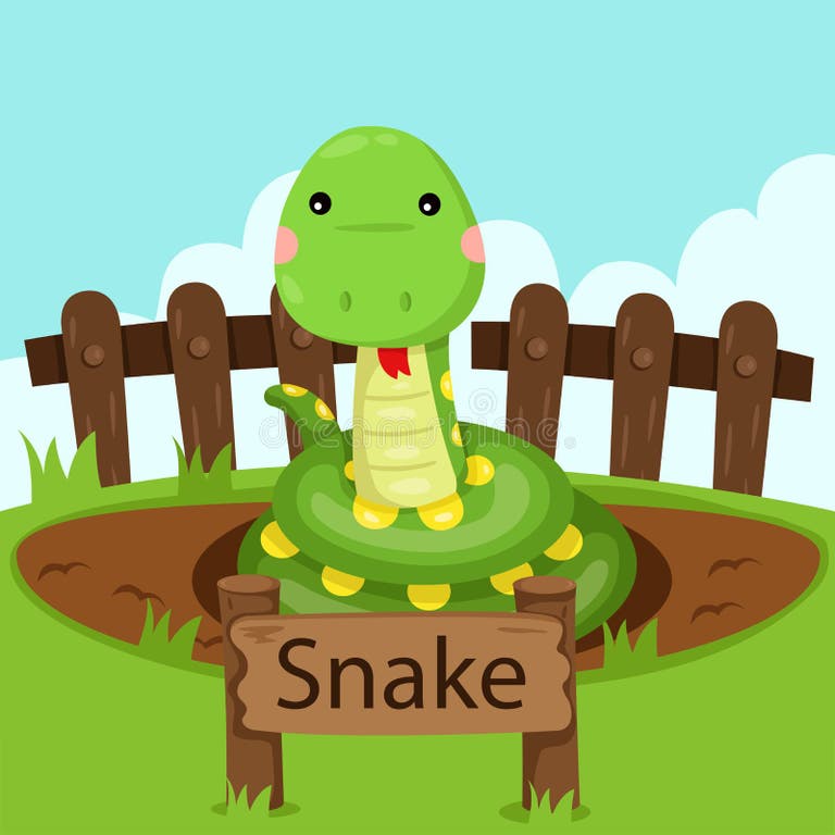 Illustrator of Snake in the Zoo Stock Vector - Illustration of reptile ...