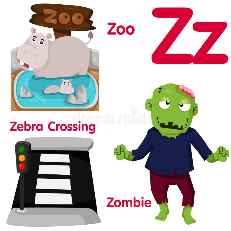 Illustrator of Z alphabet stock vector. Illustration of cute - 46570463