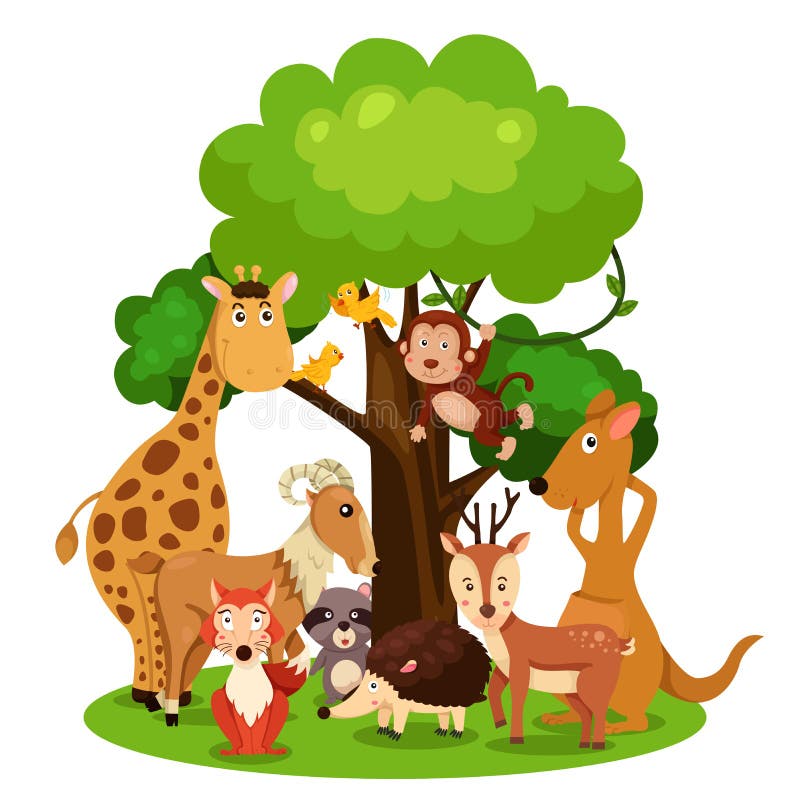 Illustratore Dell'animale Dell'anatra Illustrazione Vettoriale ...