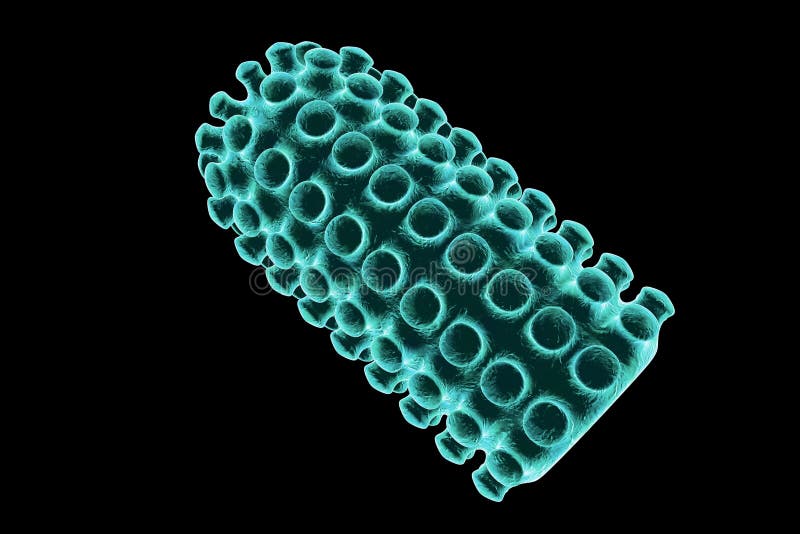 Illustrazione Del Virus Della Rabbia Illustrazione di Stock ...