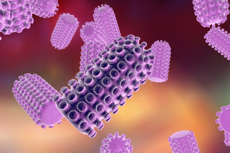 Illustrazione Del Virus Della Rabbia Illustrazione di Stock ...