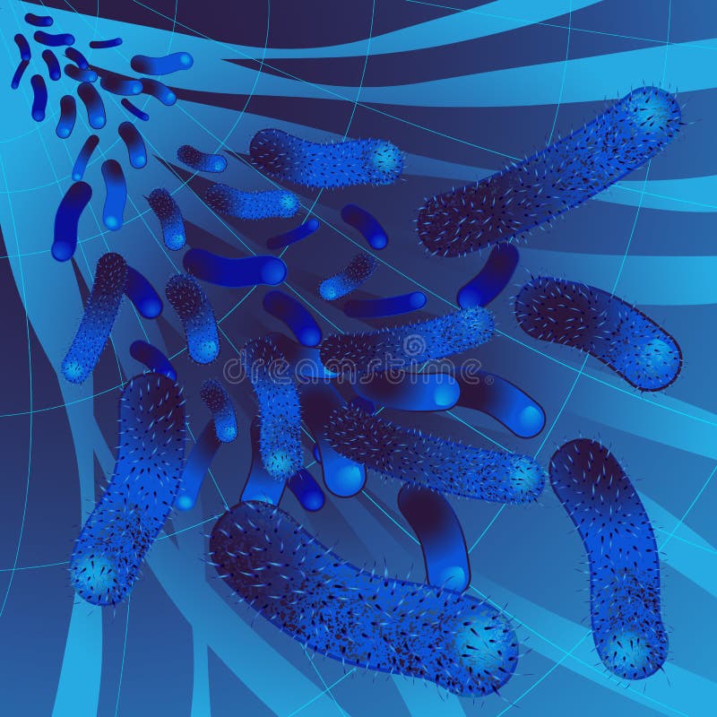 Illustrazione Di Batterio Dei Batteri Illustrazione Vettoriale ...