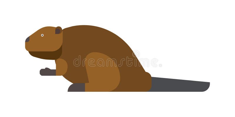 Illustrazione Di Vettore Del Castoro Illustrazione Vettoriale ...