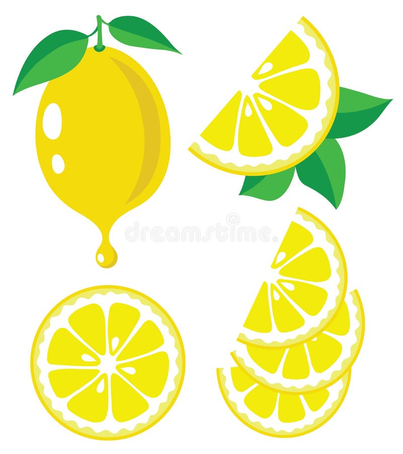 Illustrazione Di Vettore Del Limone Illustrazione Vettoriale ...