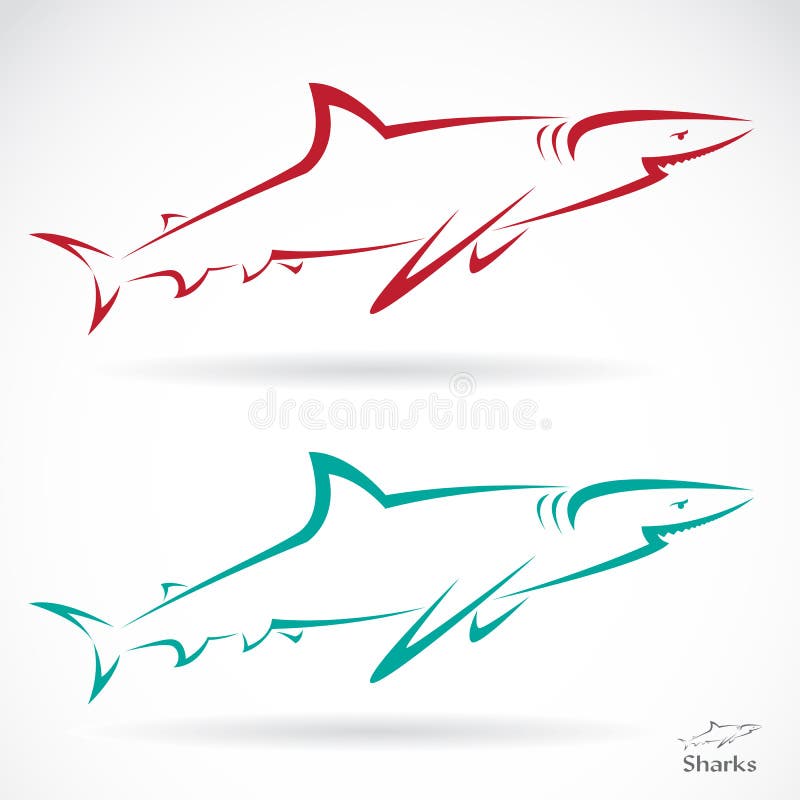 Illustrazione Di Vettore Dello Squalo Illustrazione Vettoriale ...