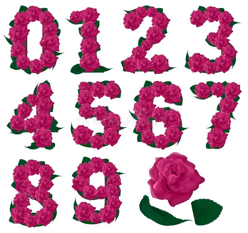 Illustrazione Floreale Rosa Di Numeri Fotografia Stock - Illustrazione ...