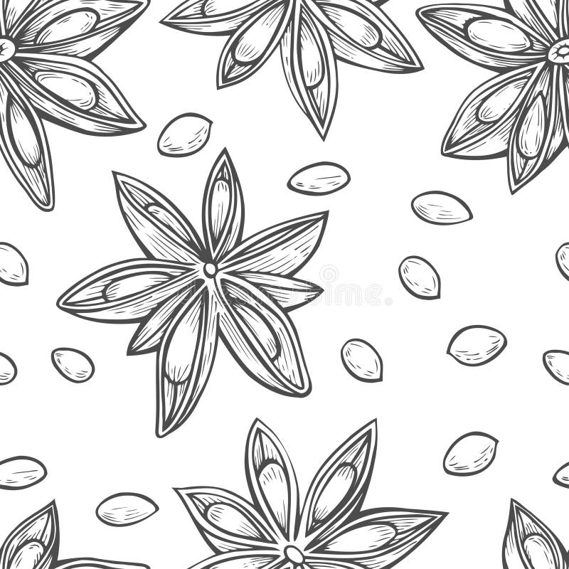 Ilustração do anis ilustração do vetor. Ilustração de elemento - 106510651