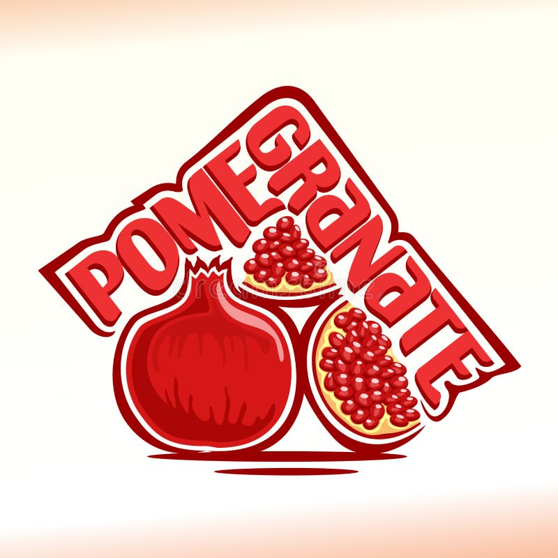 Ilustração Do Vetor No Tema Da Romã Ilustração do Vetor - Ilustração de ...