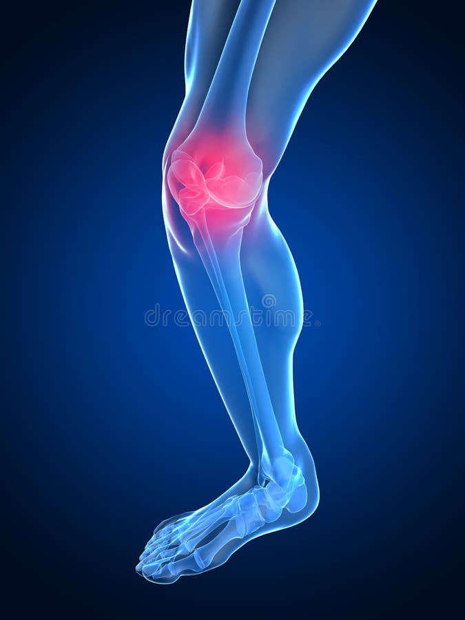 Ilustración de la rodilla stock de ilustración. Ilustración de humano ...