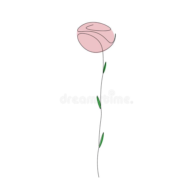 Ilustración Vectorial De La Línea Rosa Rosa Rosa Rosa Ilustración del ...