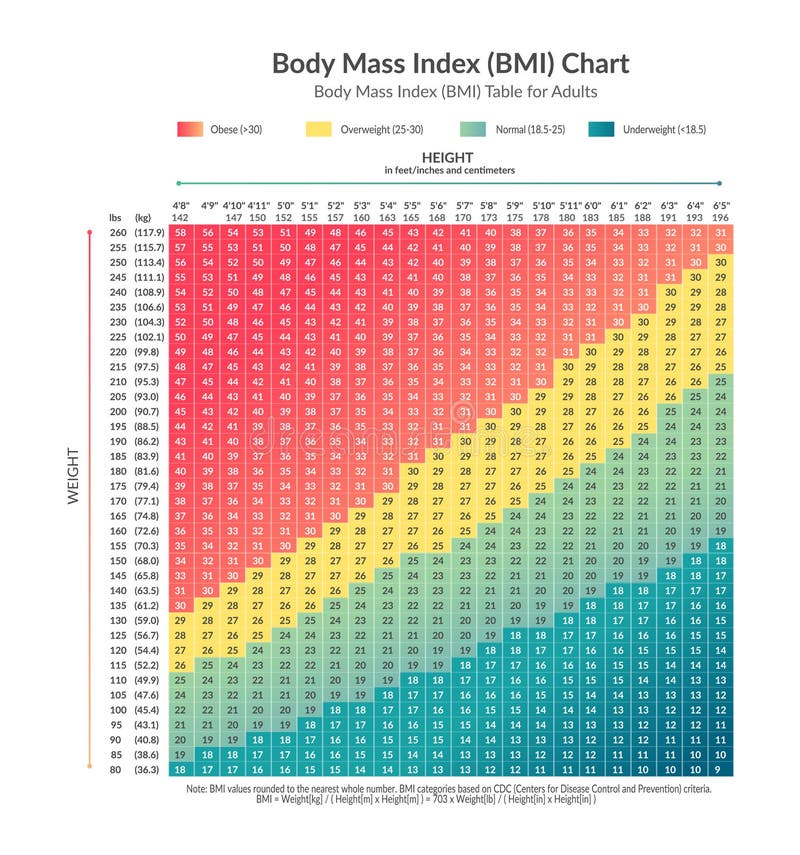 Ilustración Vectorial Con Gráfico Bmi De índice De Masa Corporal