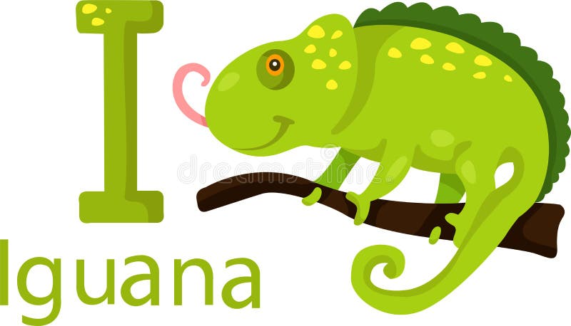 Ilustrador de I com iguana ilustração do vetor. Ilustração de texto ...
